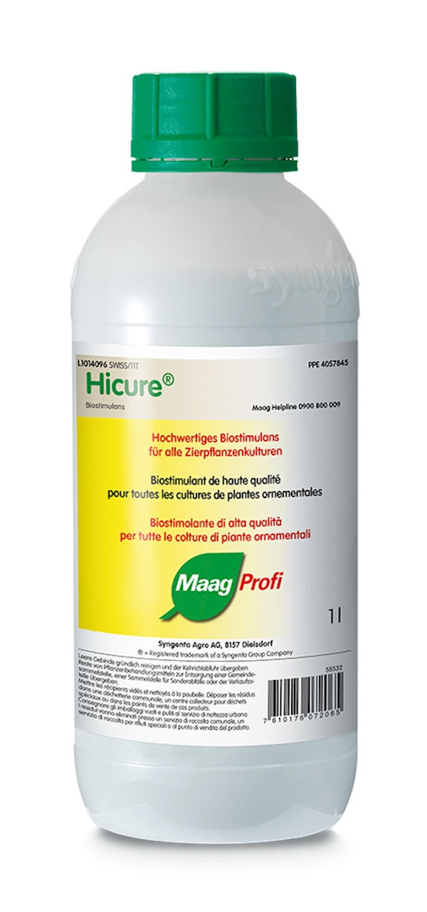 Maag Profi - Hicure® - Blumenbörse Online