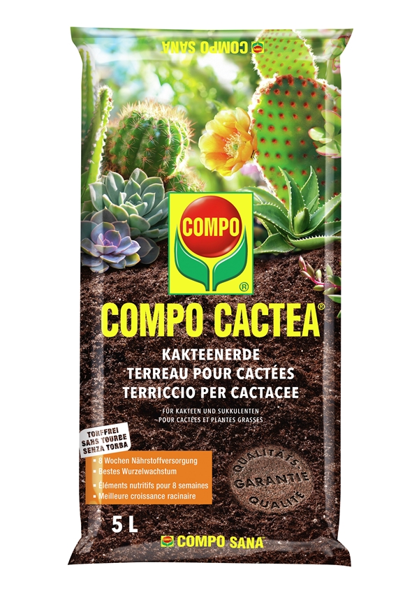 Compo - Cactea Terreau pour cactées- Blumenbörse online